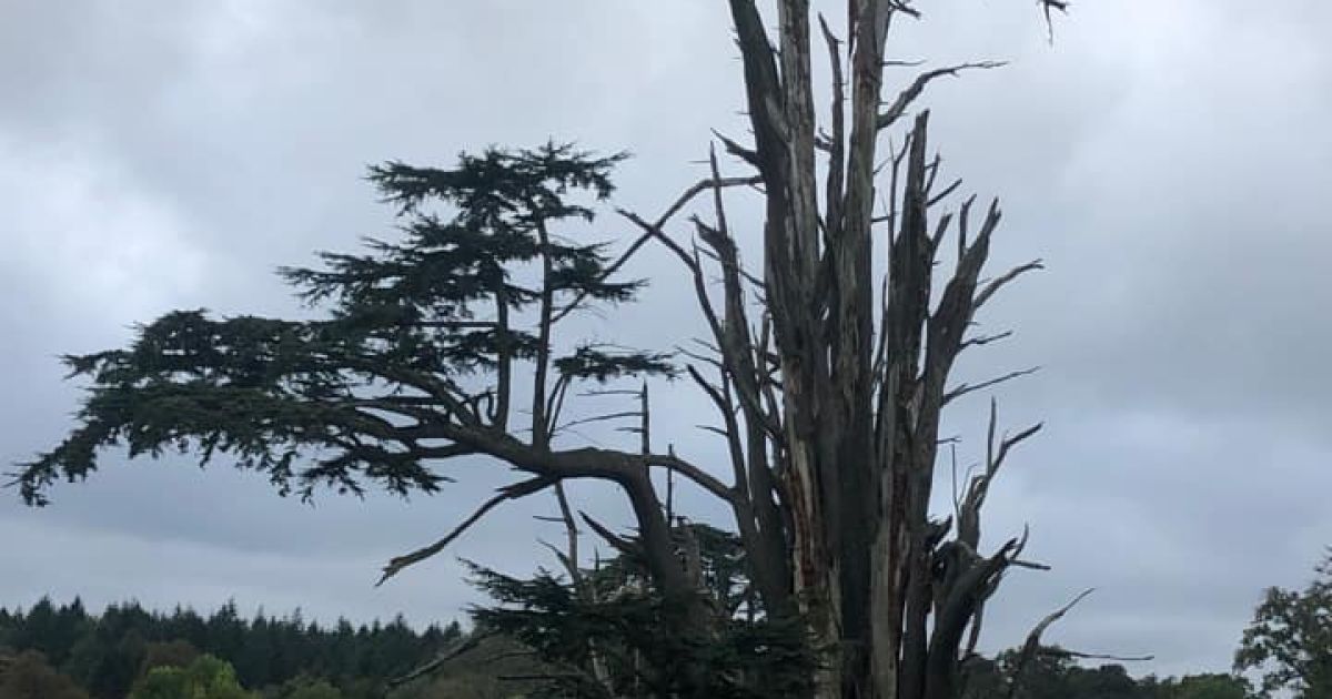 Lockerley Circular - Fast Pace - Ramblers